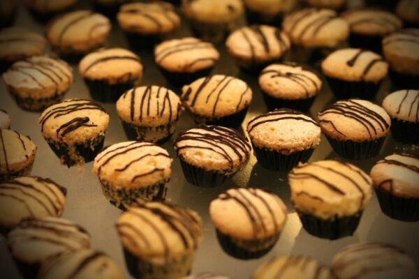 Don't Fall for that Fallacy, Part One | kidCourses